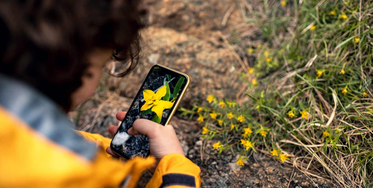 All Arm Cortex-A CPU Cores 64-bit Only - Arm Newsroom